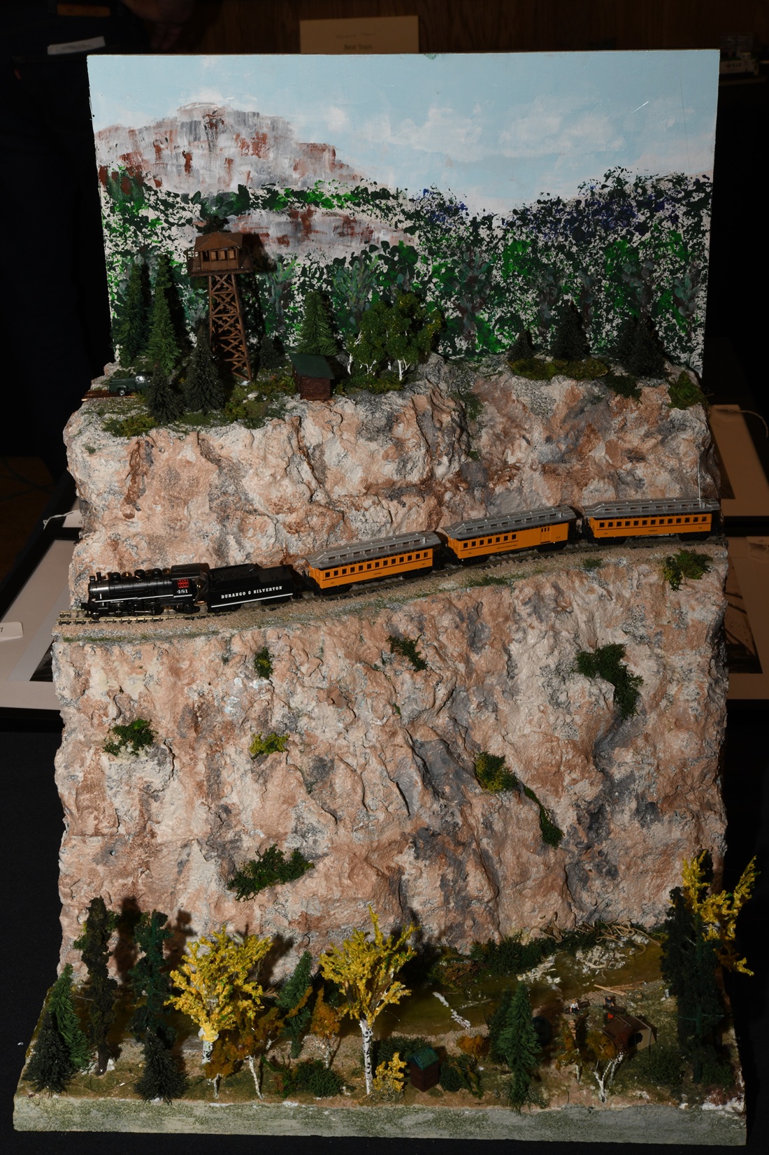 2025 RMR Convention Model Contest, Durango, CO